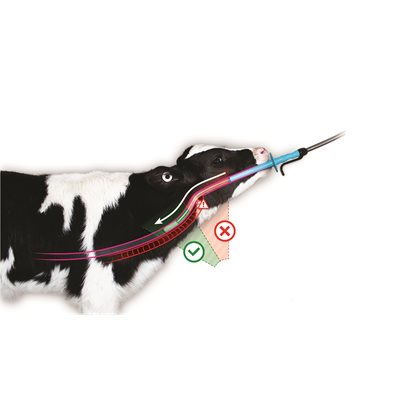 Trusti Tuber Drenching and Feeding Kit | Ukal Canada